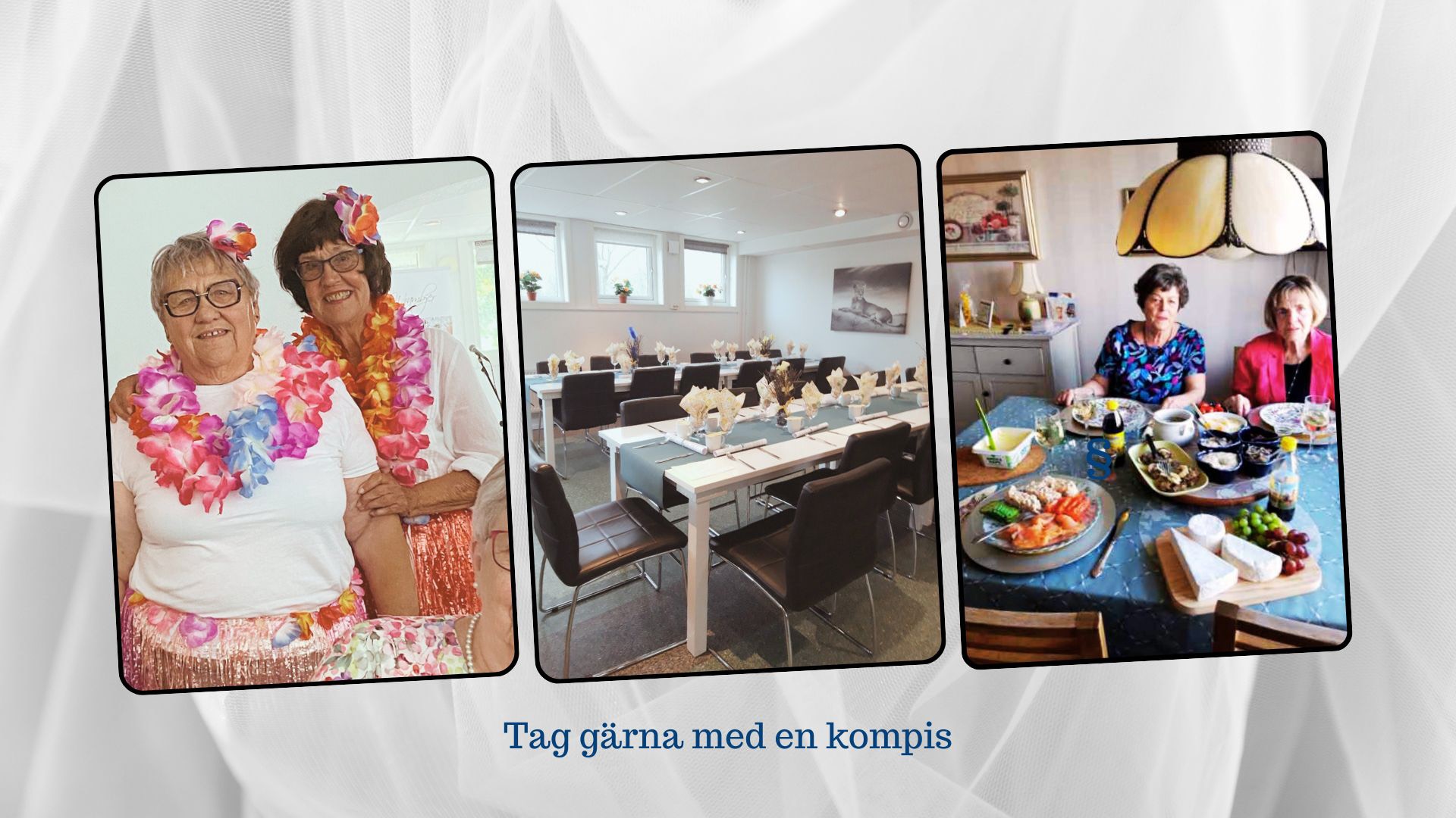 SPF - Seniorerna Bildgalleri