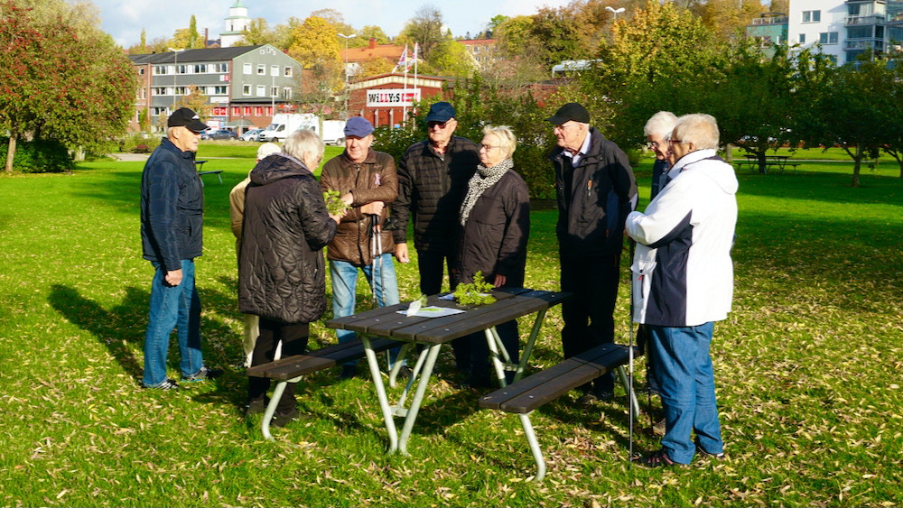 SPF Seniorerna - Tipspromenad 7 okt