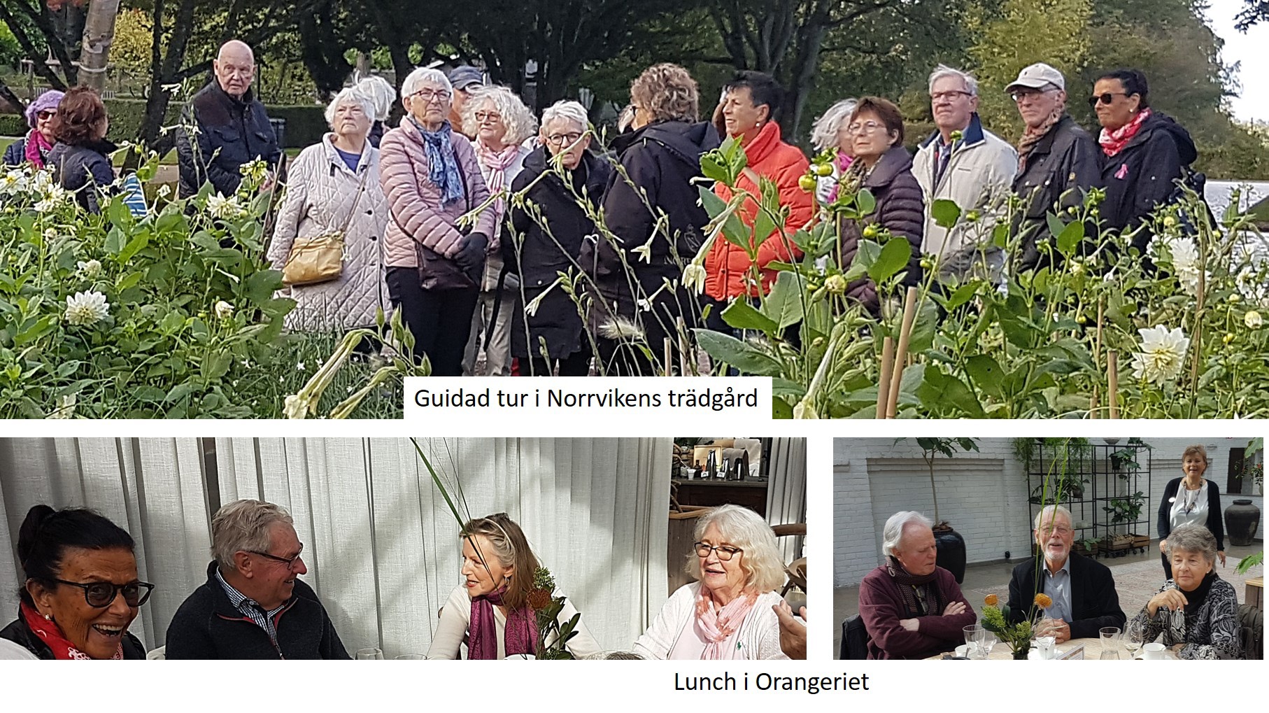 SPF - Seniorerna Norrvikens Trädgårdar 2023